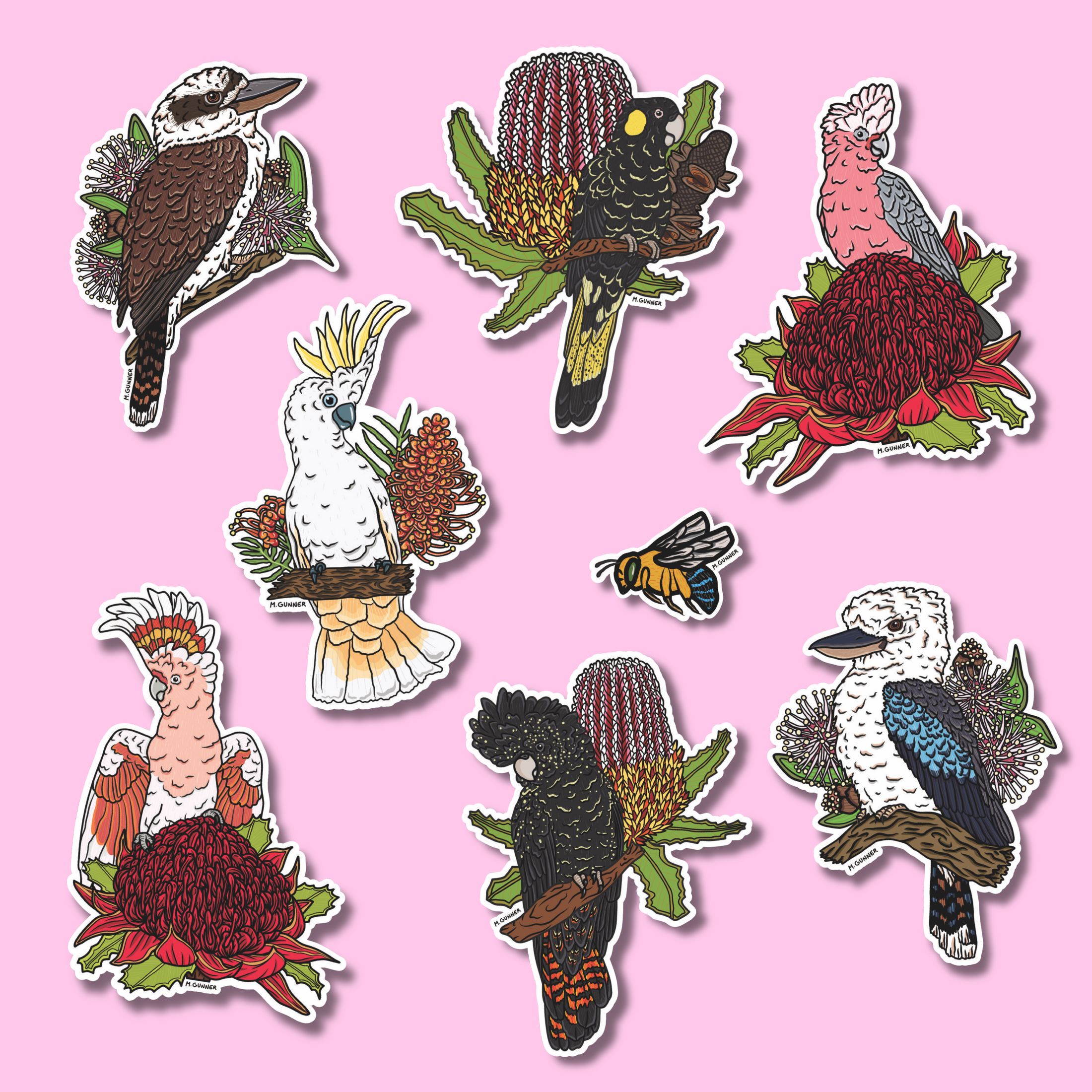 'Australian Backyard Birds' Sticker Packs – MR GUNNER ART