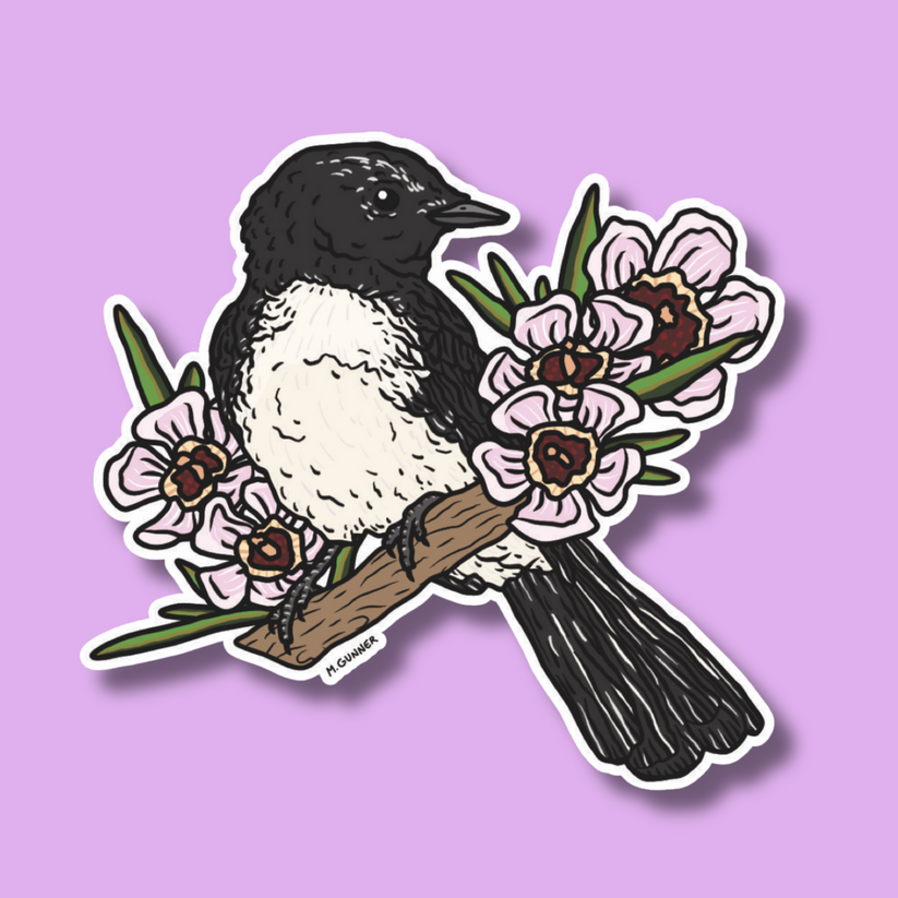 Willie Wagtail Sticker – MR GUNNER ART