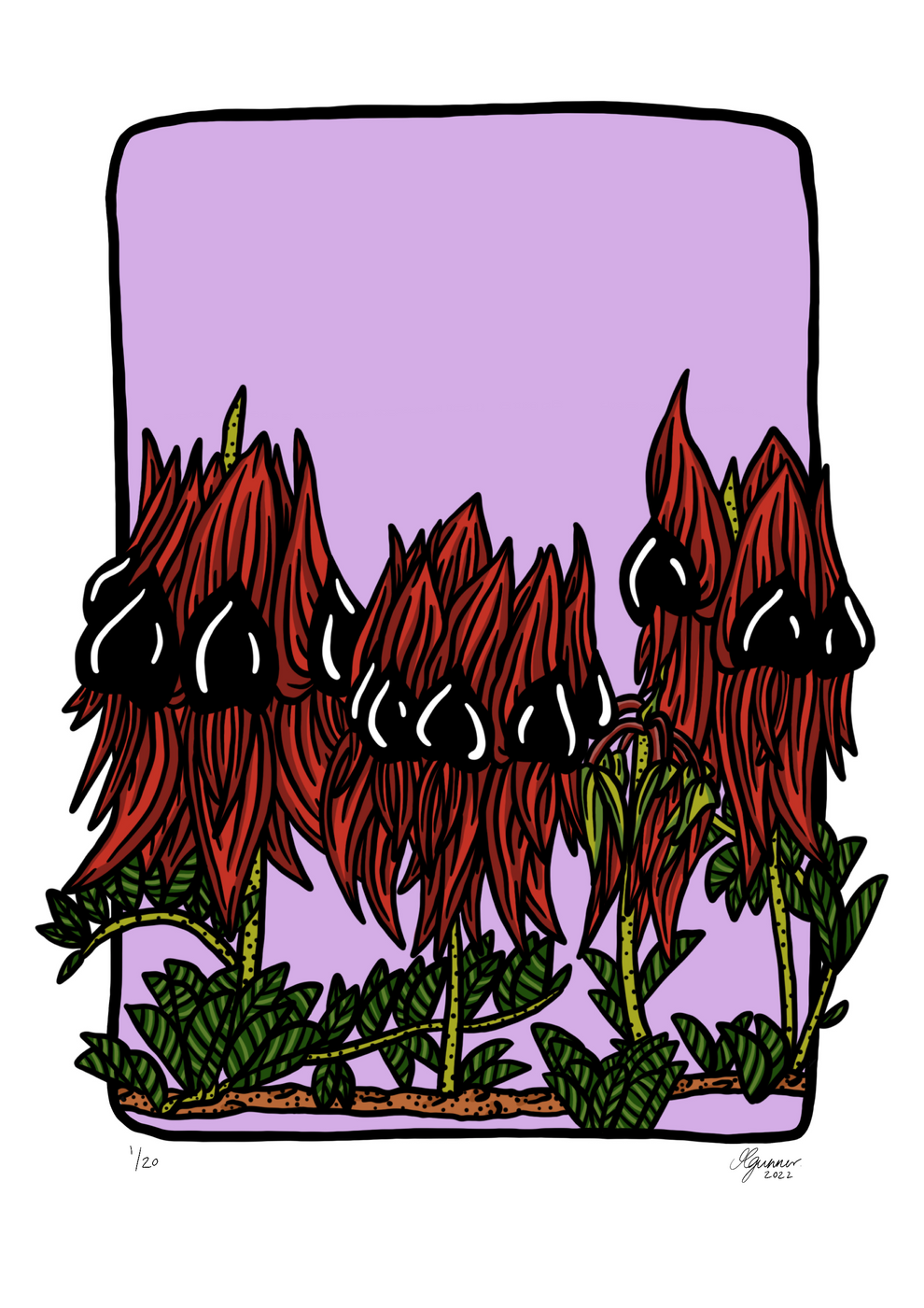 'Desert Peas' Art Print – MR GUNNER ART